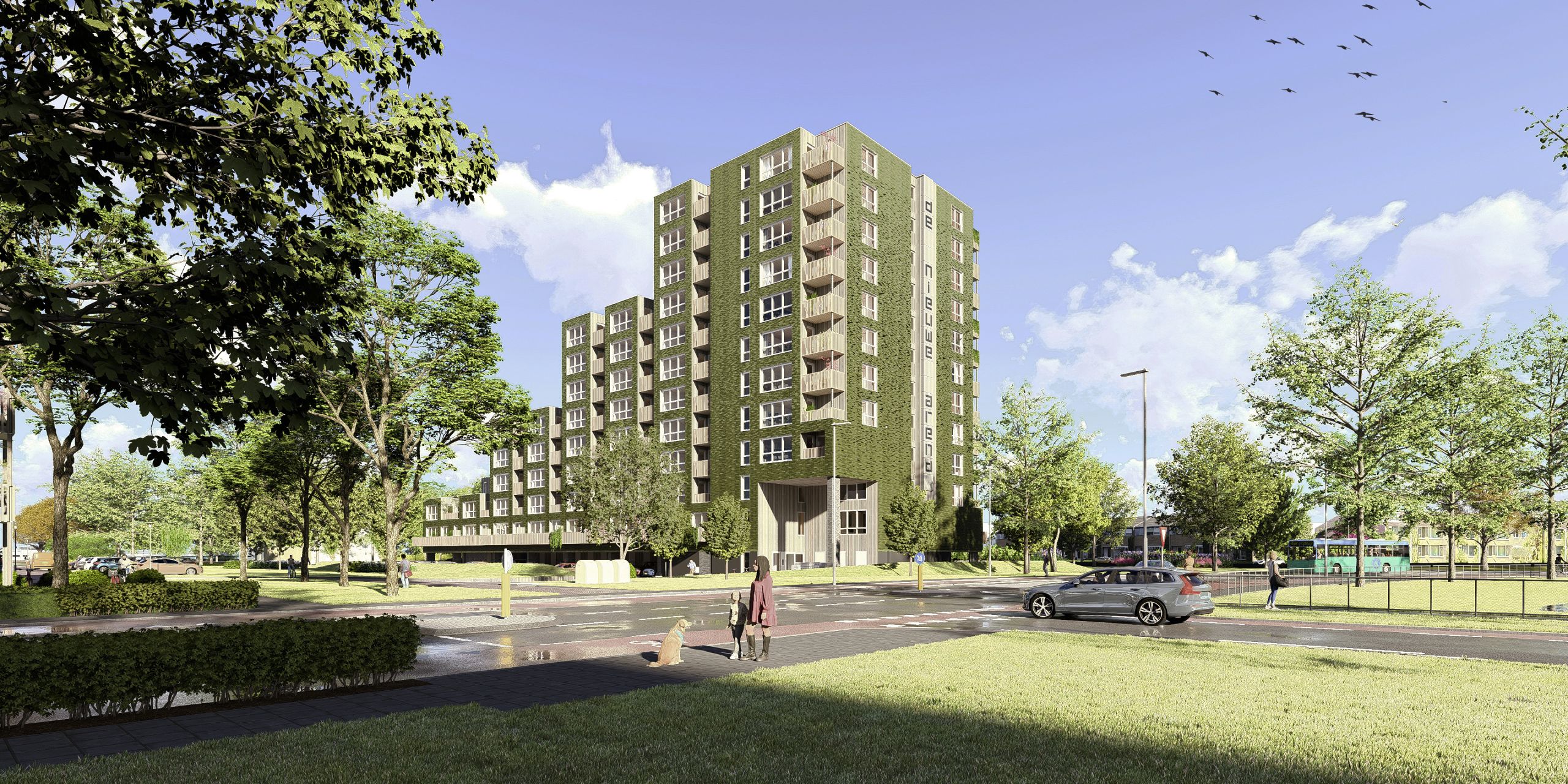 De Nieuwe Arend › Domesta