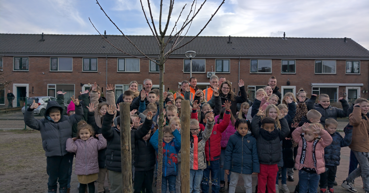 Bomen planten bij Brede School in Coevorden › Domesta
